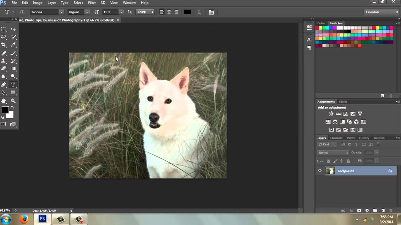 How to Use Photoshop CS6 to Edit Documents : Photoshop CS6 & Elements ...