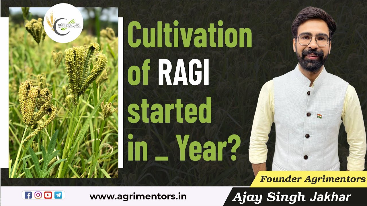 Cultivation of Ragi (Finger Millet) started in which Year? - YouTube