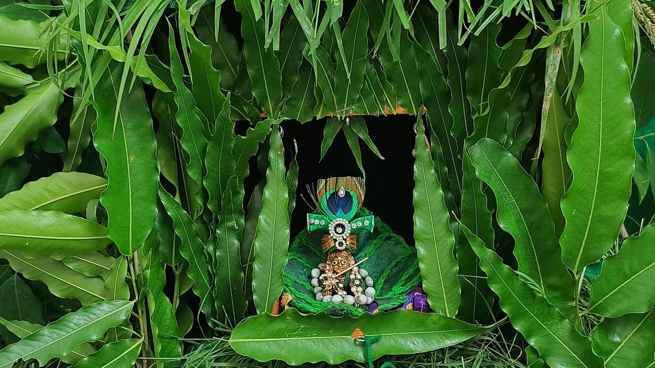 Shravan Bhadarva na hindola ||hariyali amavasya hindola||leaf hindola ...