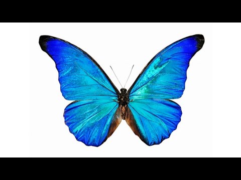 Эффект бабочки 3 | фильм 18+ | фантастика, триллер, криминал