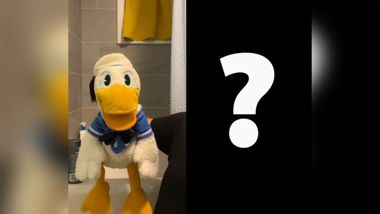 Donald Ducc GUESSING Tiktoks! (DONT LAUGH CHALLENGE) - YouTube
