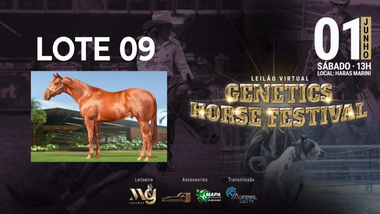 LOTE 09 SZ HOCUS POCUS FIRE - YouTube