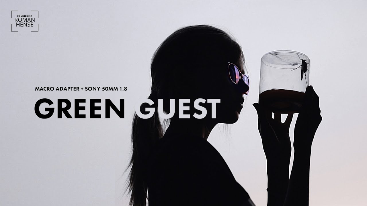 Green Guest - YouTube