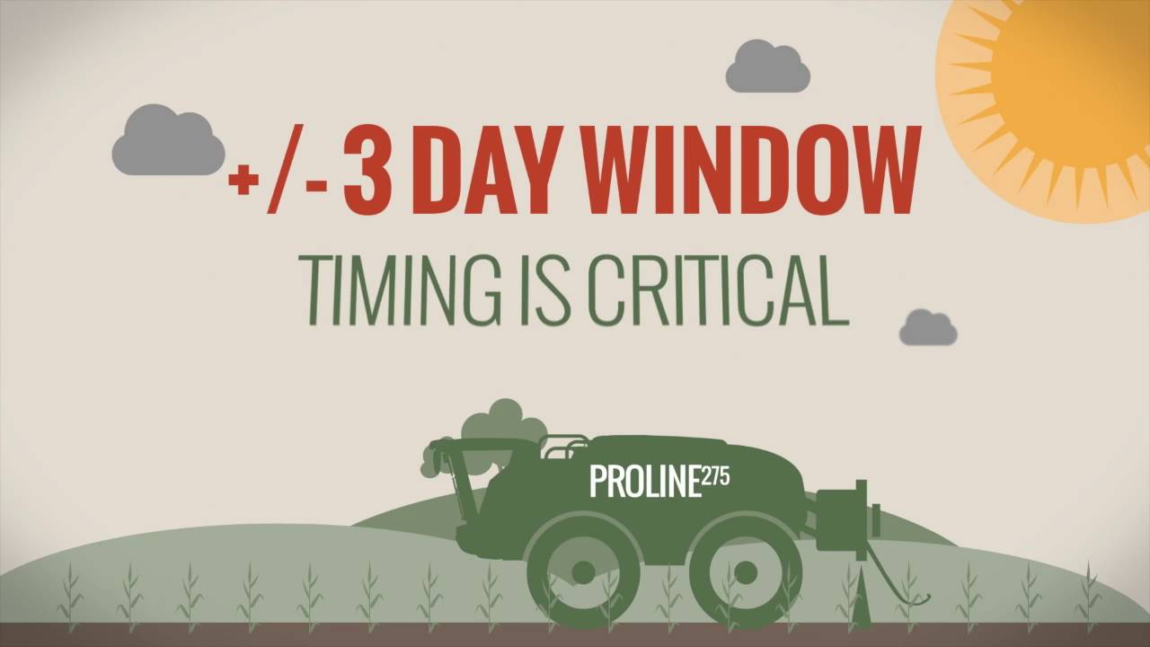 why is timing so important and what is the correct timing for the T3 ...