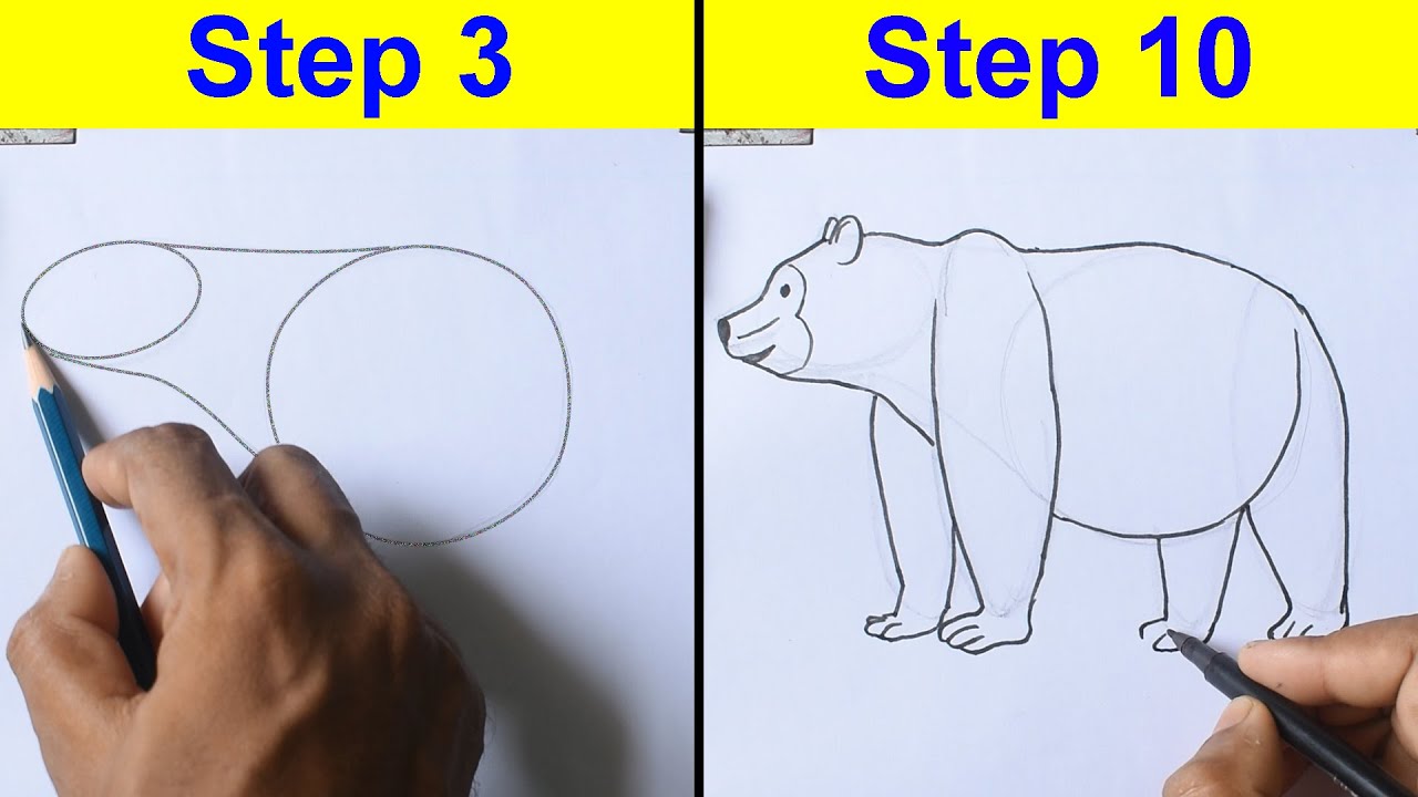 How to Draw a Bear | Line Drawing with Pencil and Sketch Pen | Step-by ...