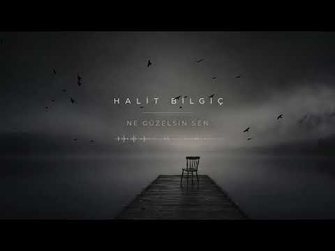 Halit Bilgiç - Ne Güzelsin Sen