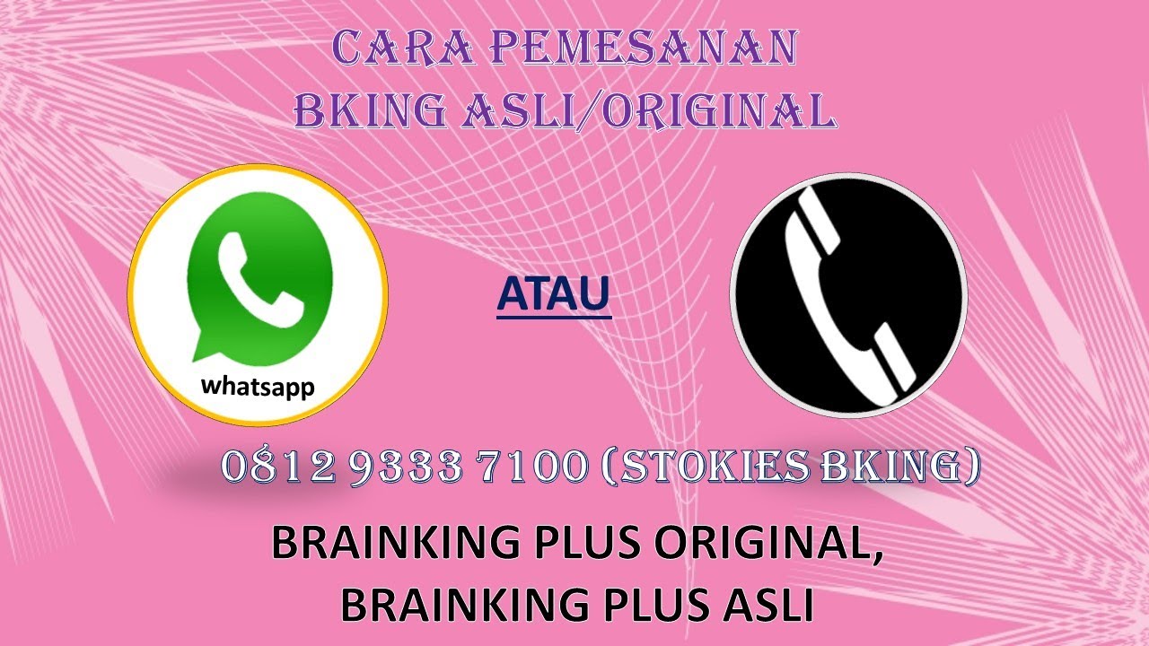 0812 9333 7100 (Stokies Bking) Brainking Plus Asli Di Kalimantan - YouTube