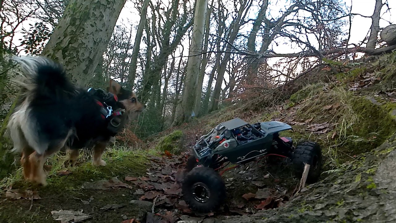 FTX RAVINE/REDCAT DANCHEE RIDGEROCK (custom upgrades) - YouTube