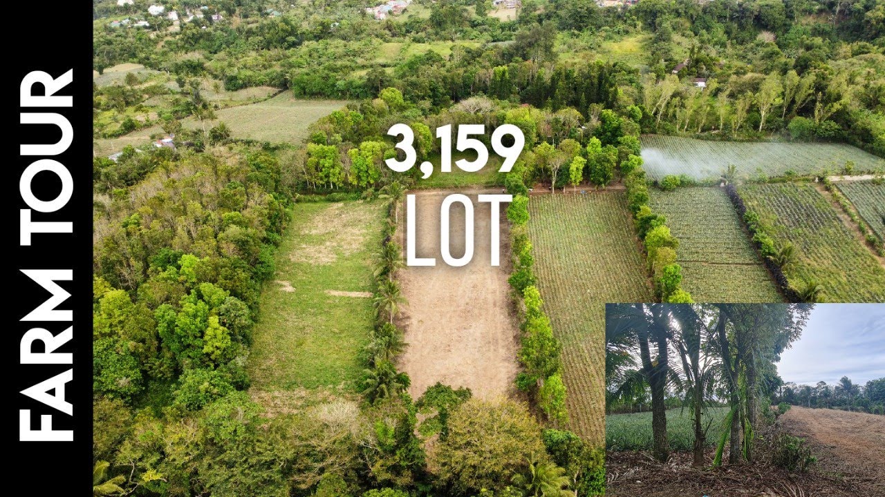 Farm LOT 101 in Silang Cavite with Nice Land area hilly and Slope area ...