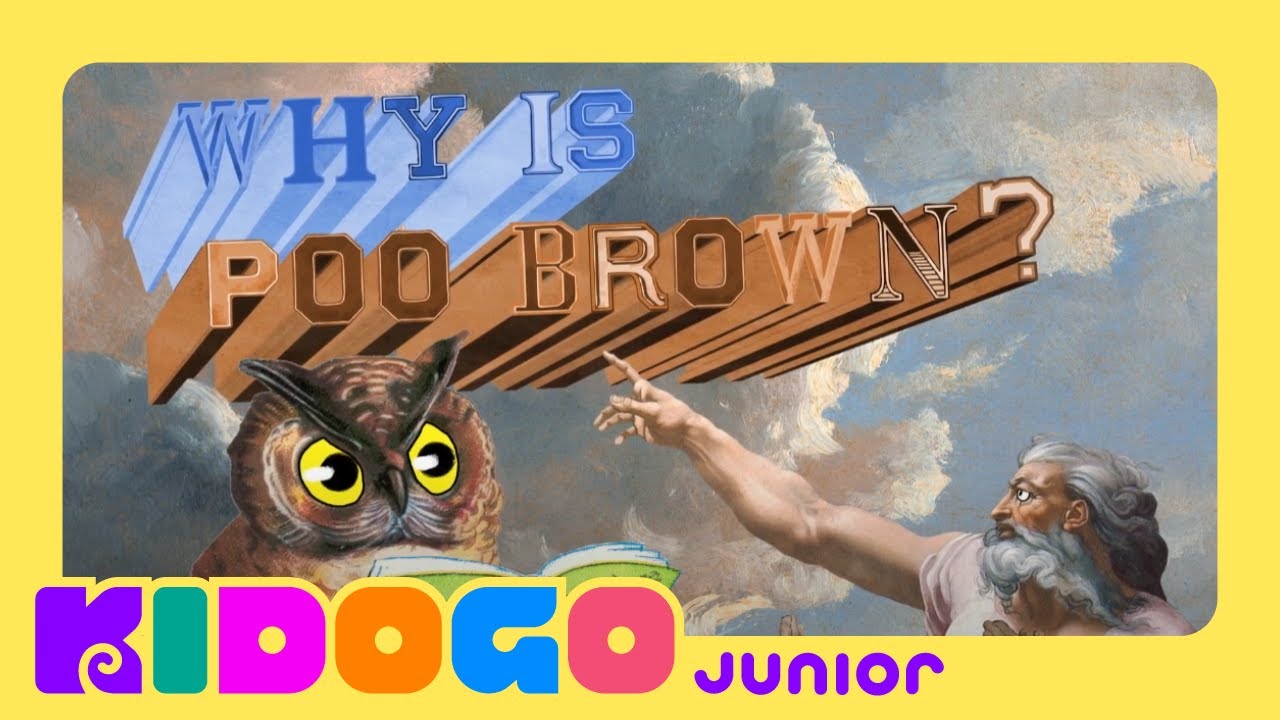 Why is Poo Brown? | The Poo Files | S2 | E12 - YouTube