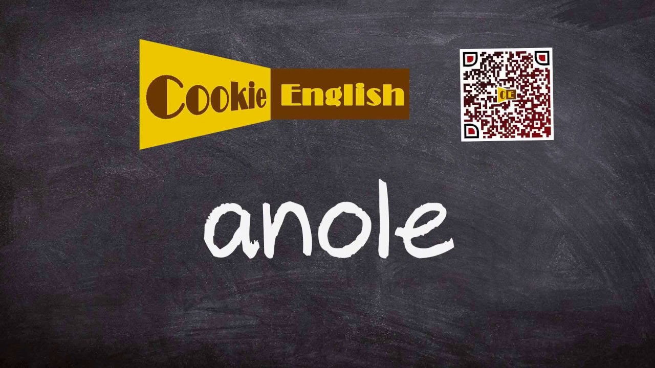 Anole Pronunciation, Paraphrase, Listen & Practice - YouTube
