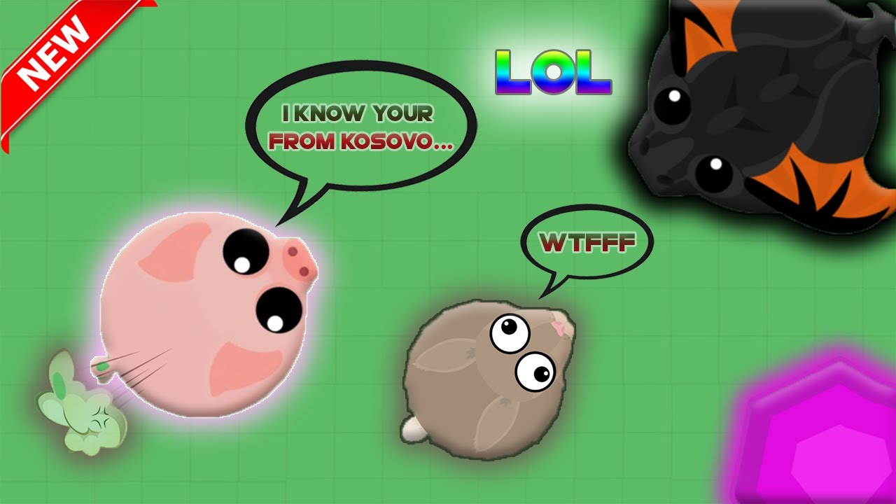 Mope.io NOOB Think I'm A HACKER / Funny Mope.io Trolling / Mope.io ...