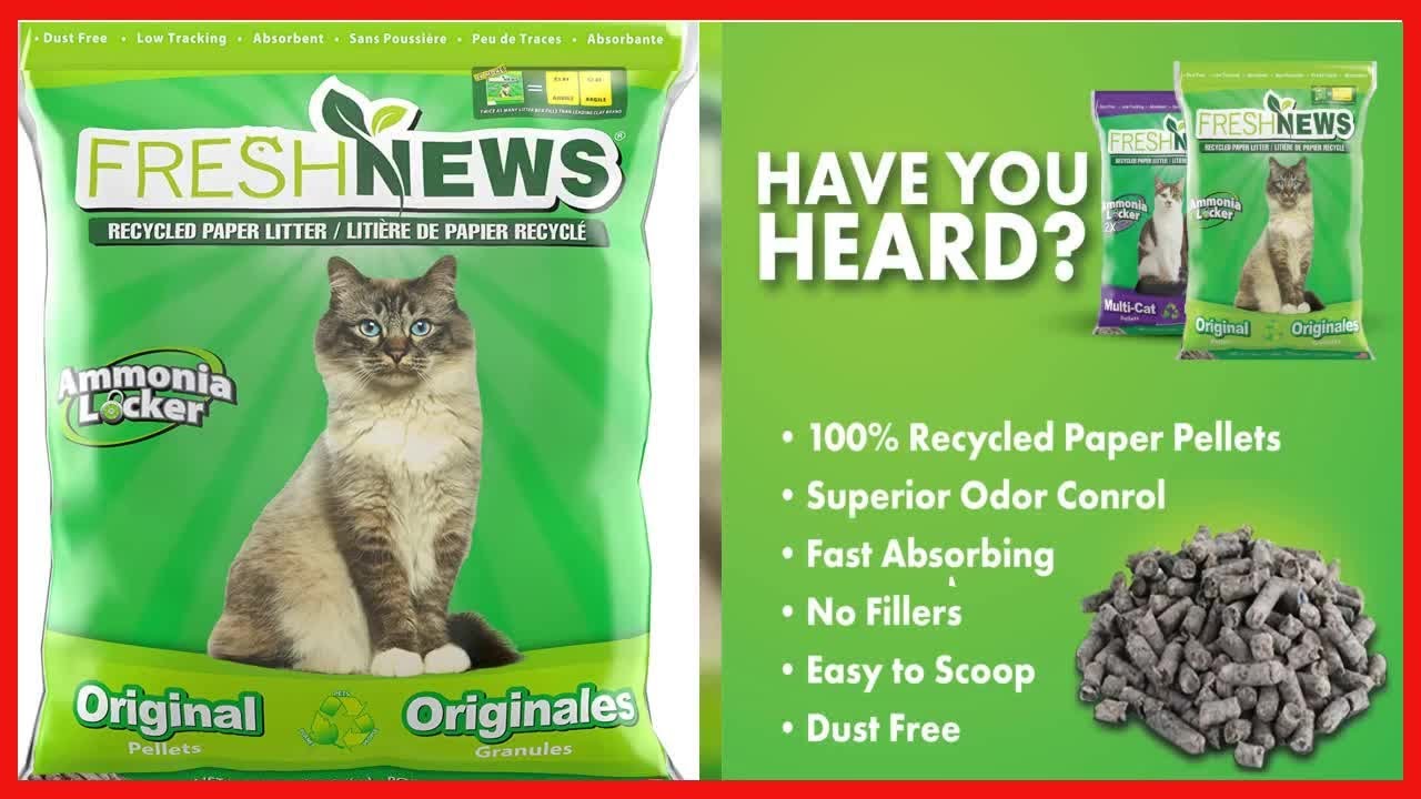 Fresh News Recycled Paper Cat Litter, Pellets - YouTube