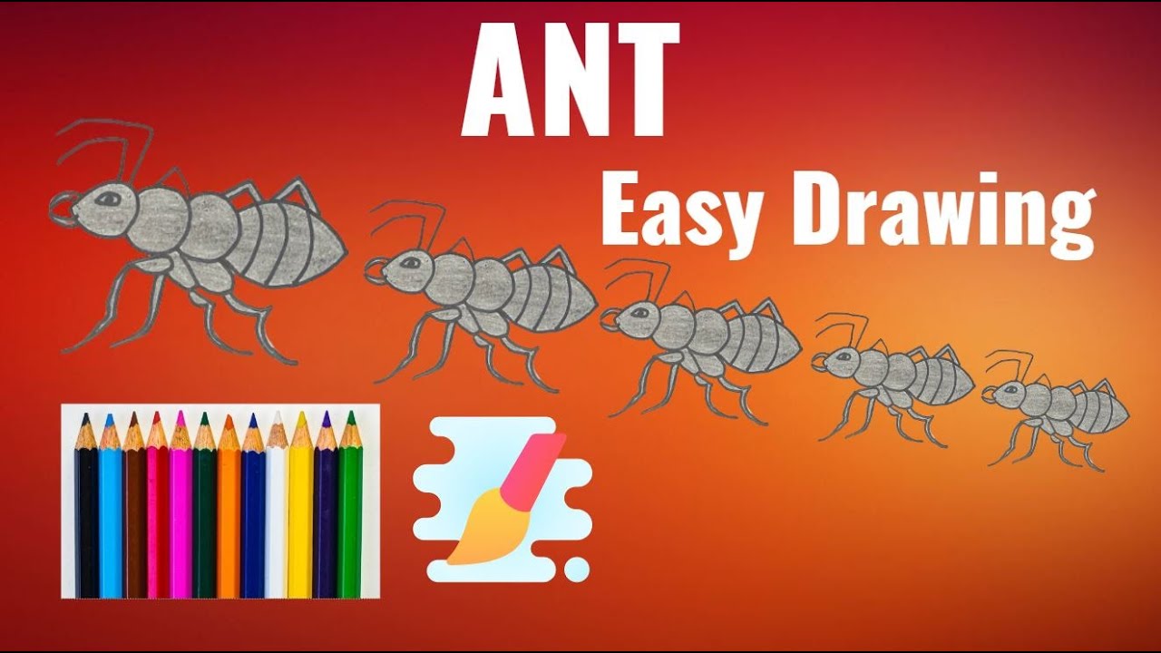 Ant 🐜 Easy Drawing | Step by Step | How to draw Cute Easy Ant Insect ...