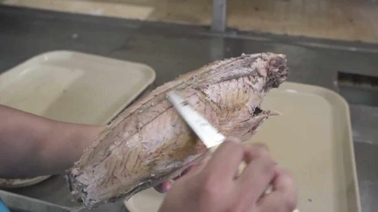 Video Institucional - Salica del Ecuador - YouTube
