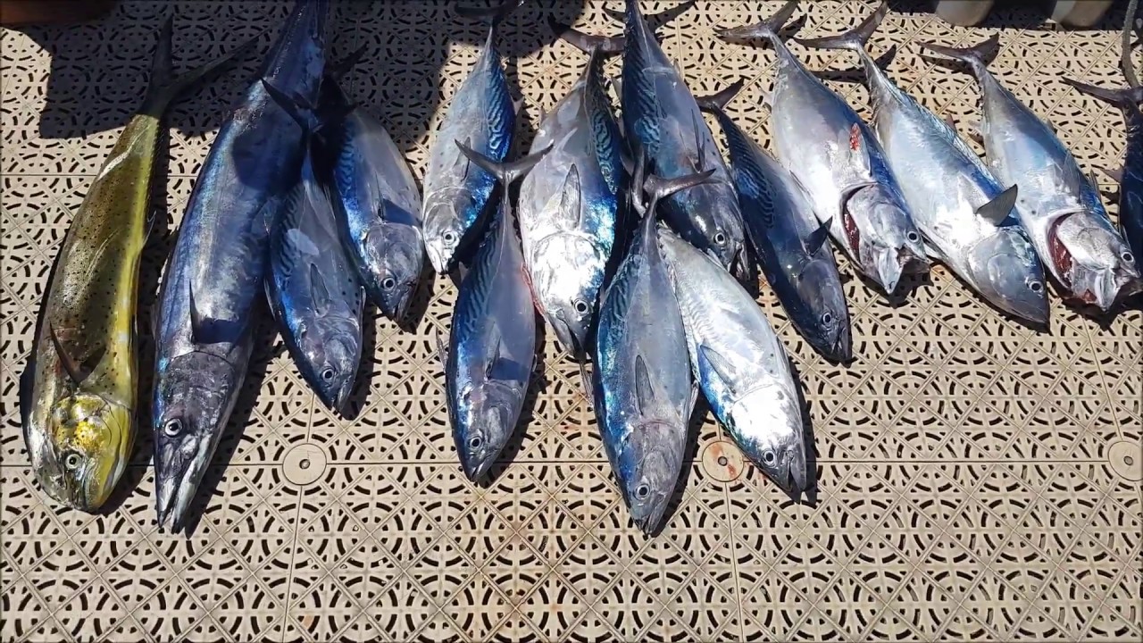 Fishing Team Extreme Bulgaria - YouTube