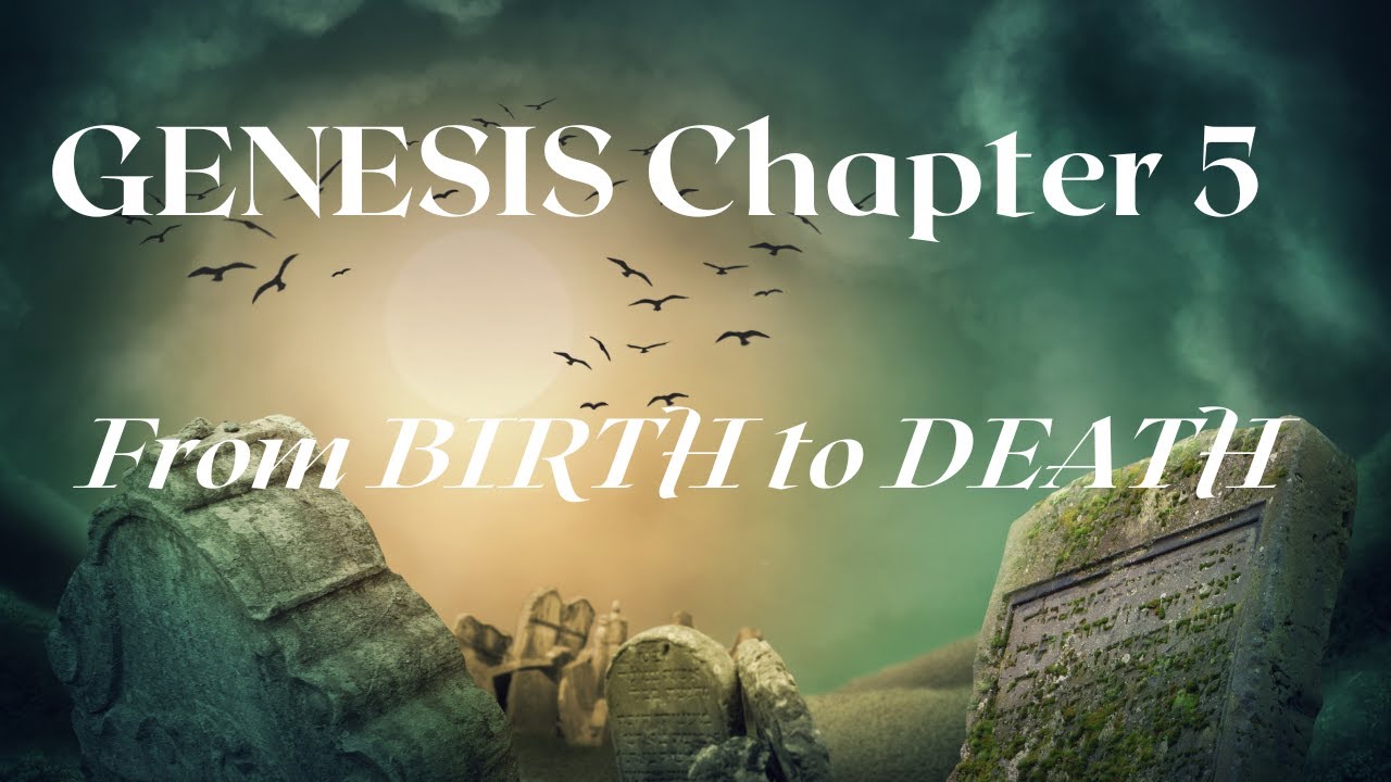 Genesis 5: From Birth to Death - YouTube