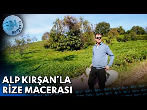 Alp Kırşan Rize'de Çay Topluyor, Yaylaları Keşfediyor | NTV Belgesel