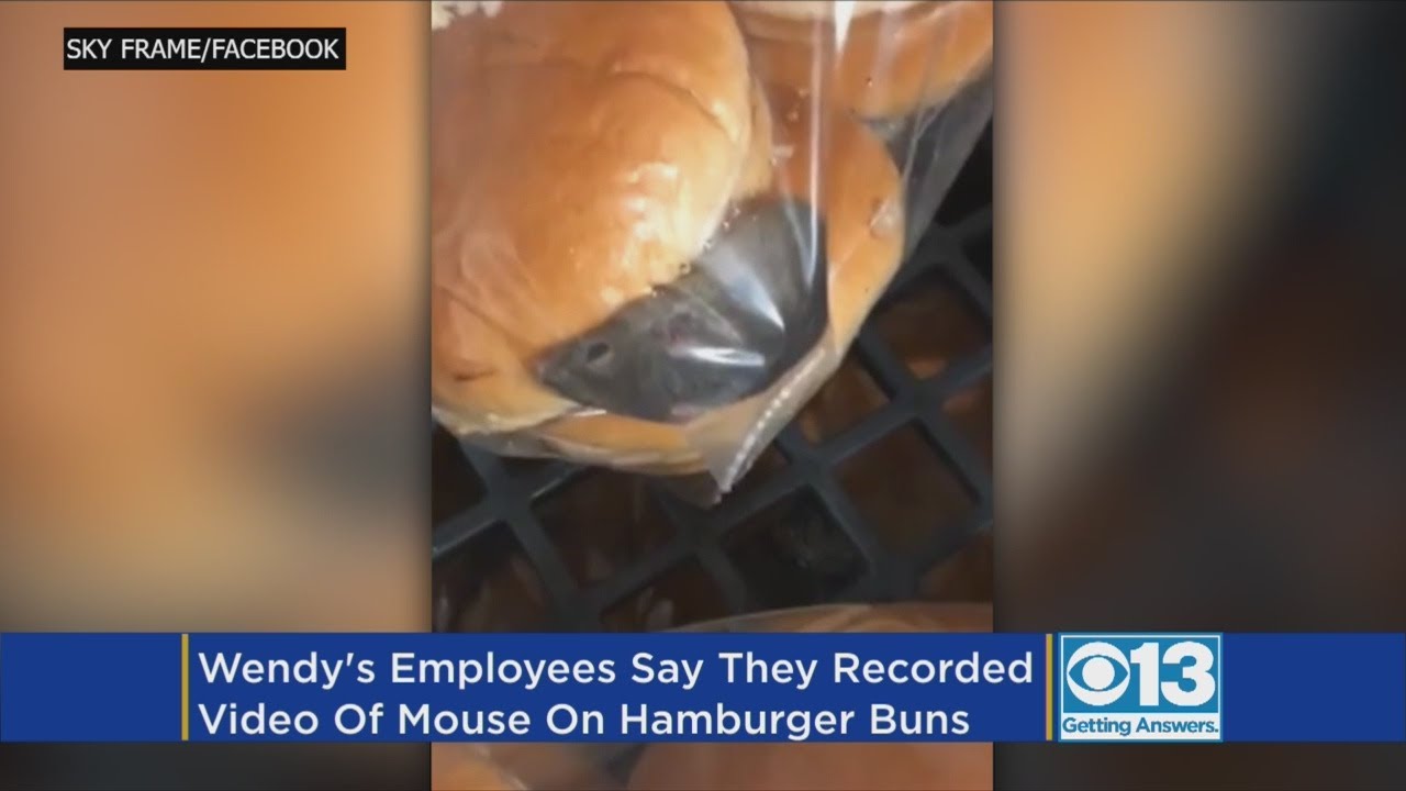 Wendy's Employee Finds Live Mouse In Bag Of Burger Buns - YouTube