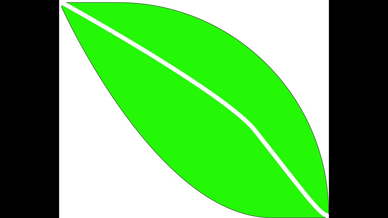 How to make leaf in adobe lillustrtor 2022 - YouTube