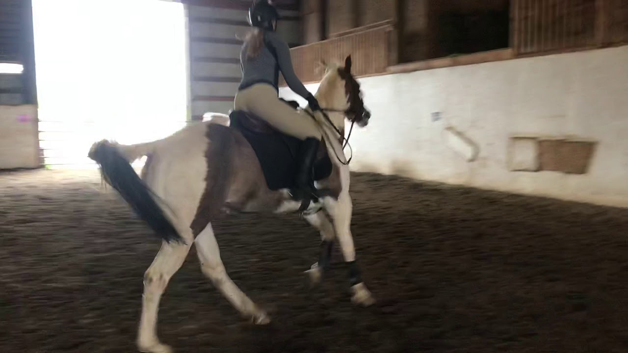 Class 32 Hunter over fences course A - YouTube