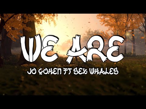Jo Cohen Ft Sex Whales - We Are (Lyrics) - YouTube