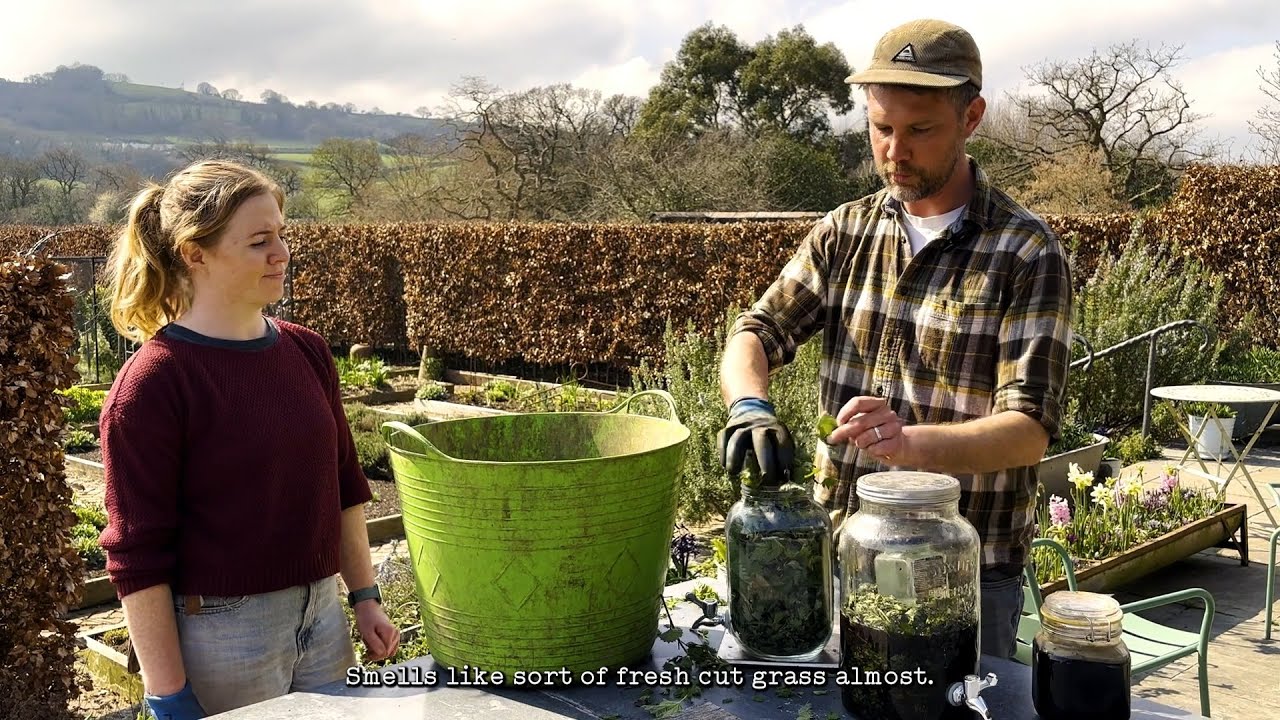 Homemade Nettle Fertiliser - YouTube