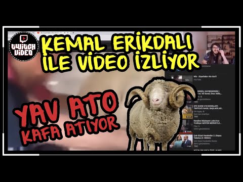 KENDİNEMÜZİYEN | Ato İzliyor !!! Ato Kafa Atıyor !!!
