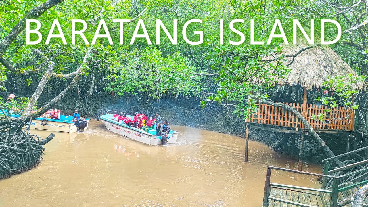 Day 3 🔥 Baratang Island 🌲Speed boat ride to Mangrove forest and lime ...