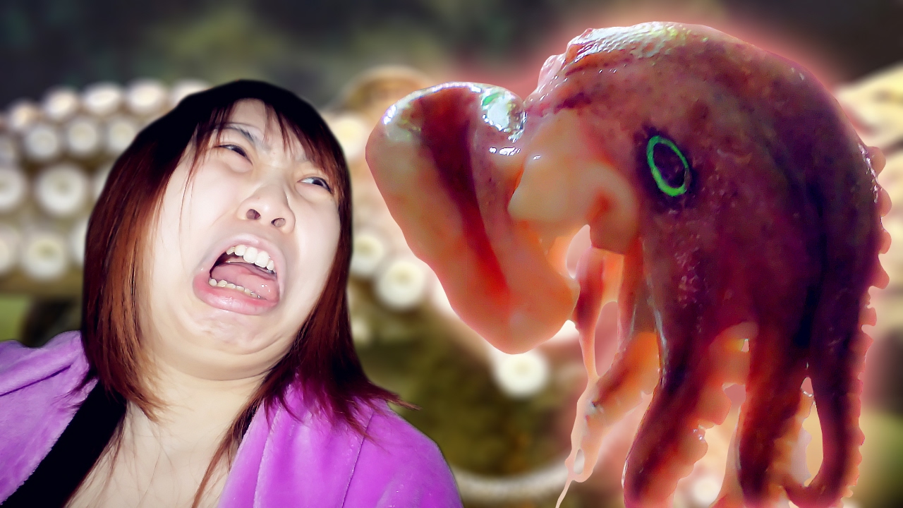 Playing With Octopuses - YouTube