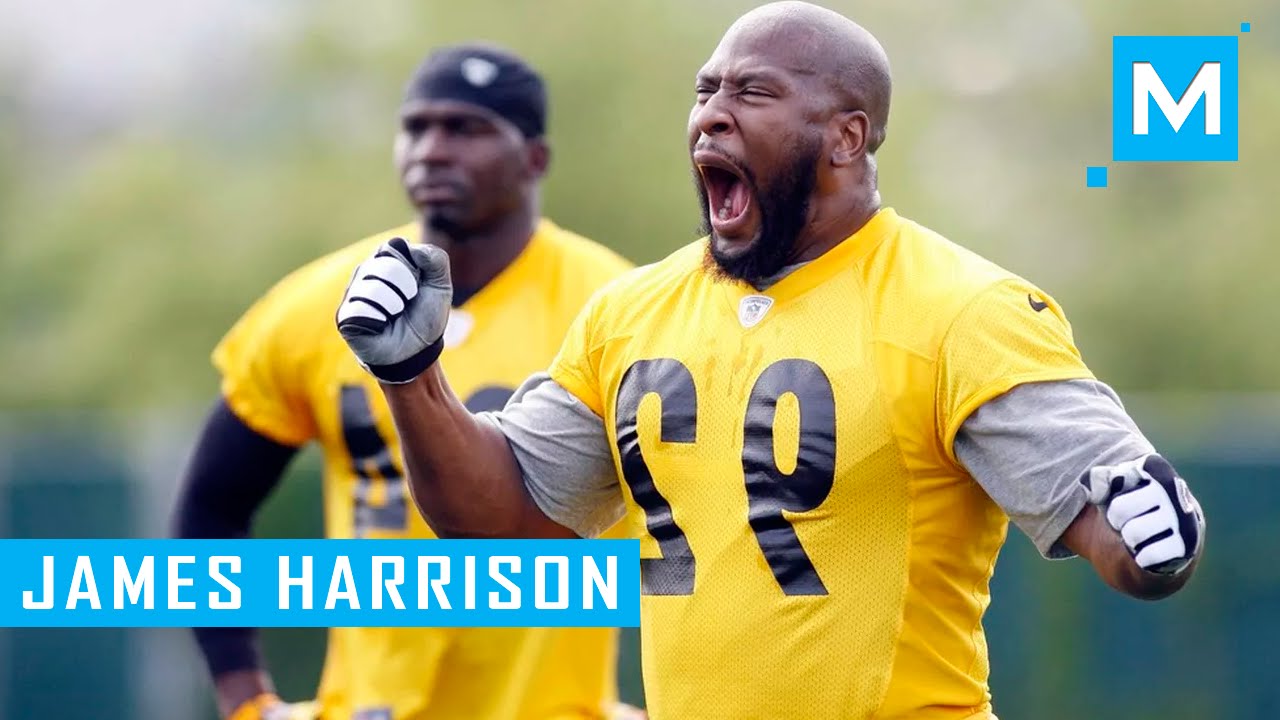 NFL Offseason Training with James Harrison | Muscle Madness - YouTube