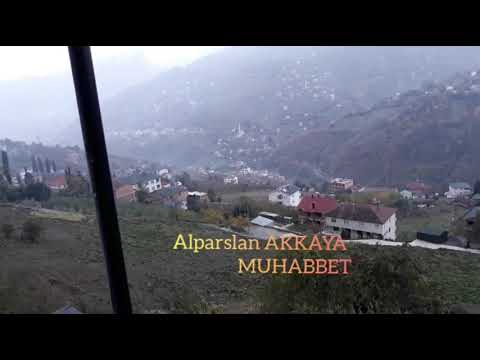 ALPARSLAN AKKAYA   MUHABBET
