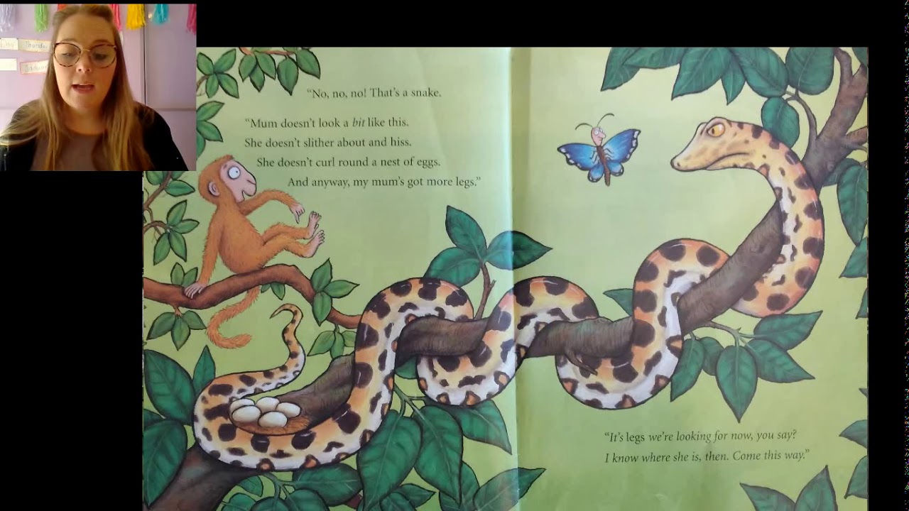 Monkey Puzzle by Julia Donaldson - YouTube