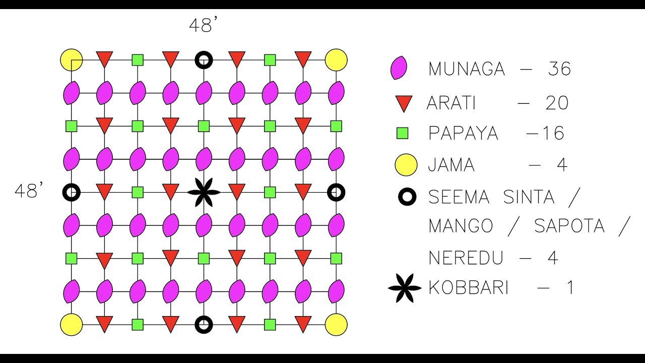 Palekar 5 Layer Method - 50' X 50' or 36 X 36 - Designed by Vijayaram ...