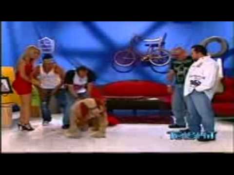 3 6 El Perro Guarumo