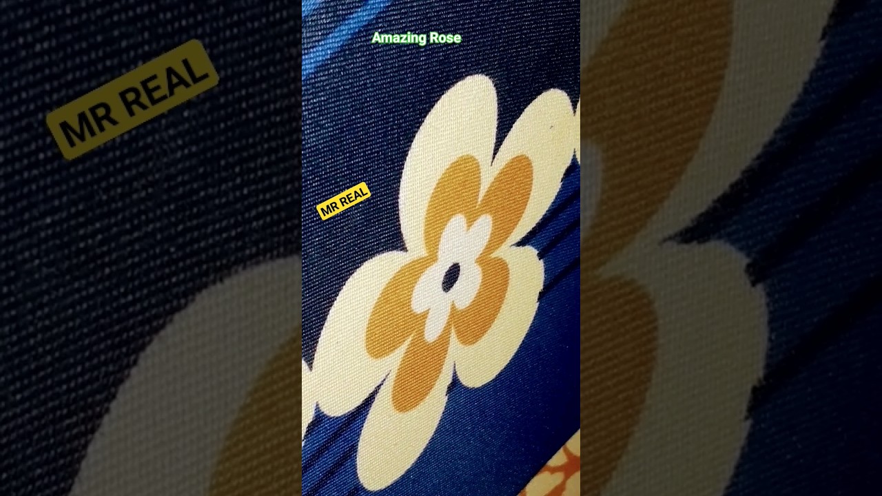 Rose, A Rose, Roses,The Rose,real Rose, The Real Rose, Amazing Rose ...