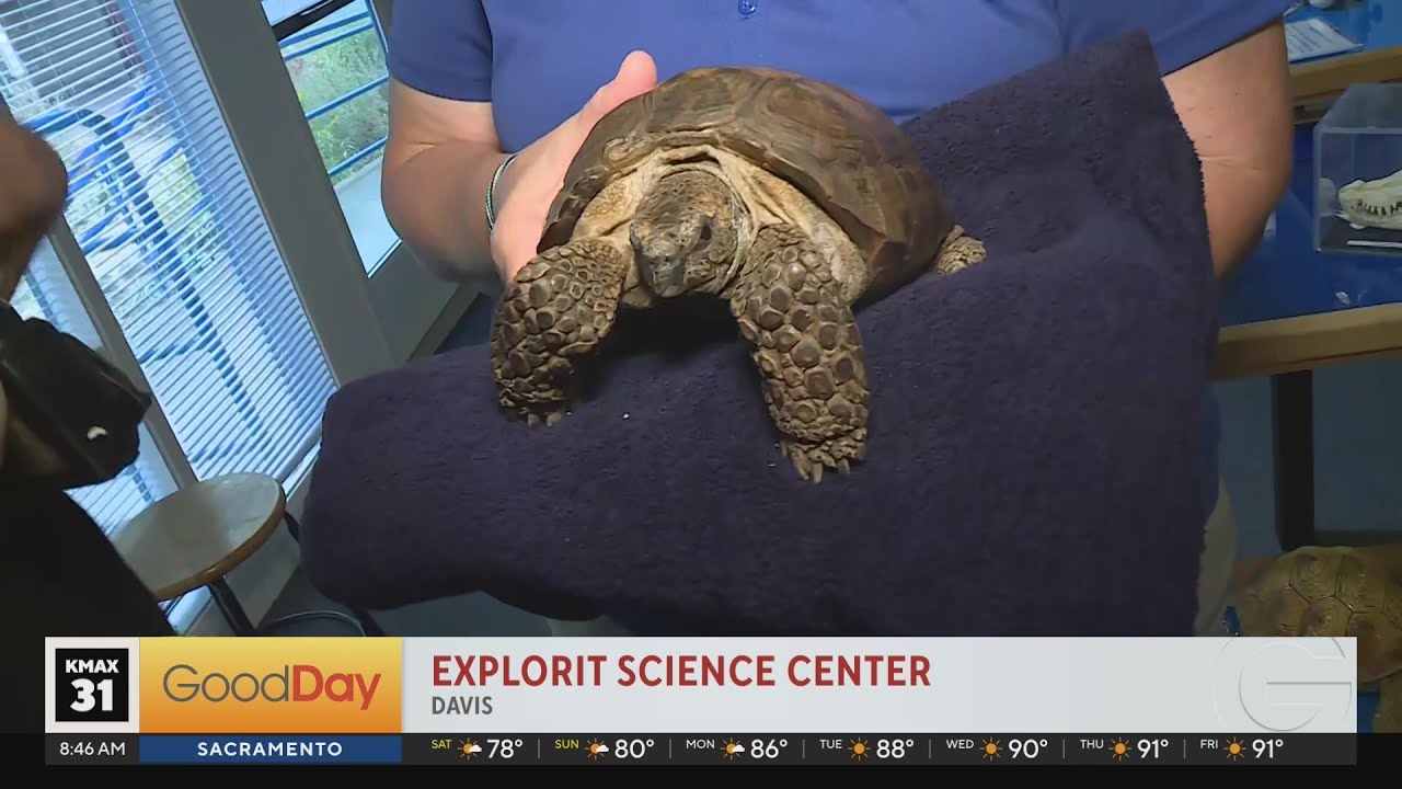 Explorit Science Center - YouTube
