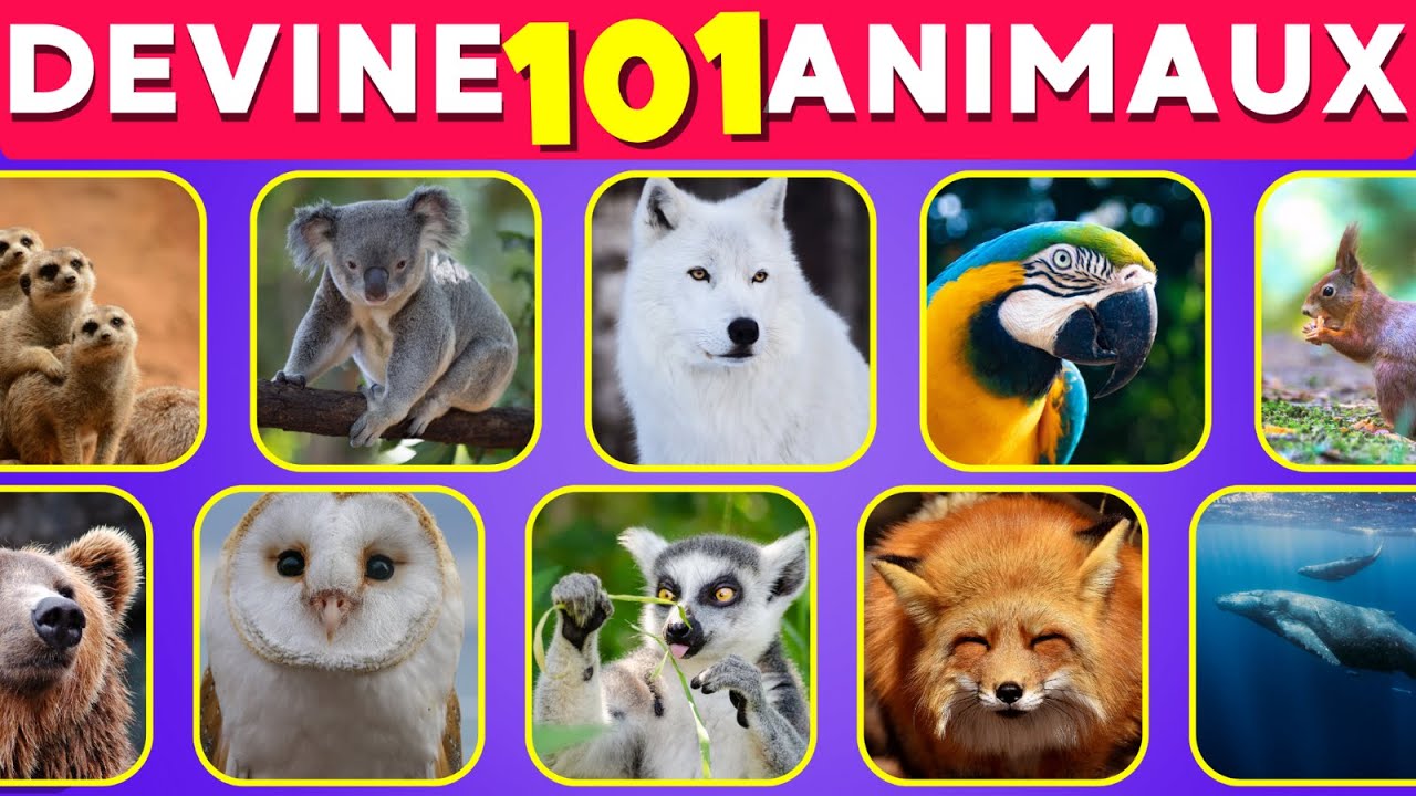 Devine 100 ANIMAUX en 3 secondes | FACILE à IMPOSSIBLE 🐍🦈🐯 QUIZ IMAGE - YouTube