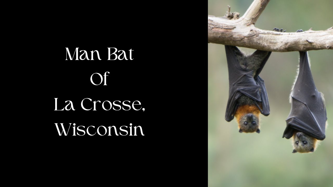 The Man Bat of La Crosse, WI| Between Monsters and Men - YouTube