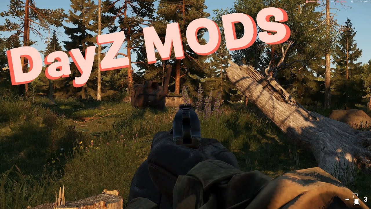 I Saw The Future Of DayZ And Loved It! | Encounter Project # ...