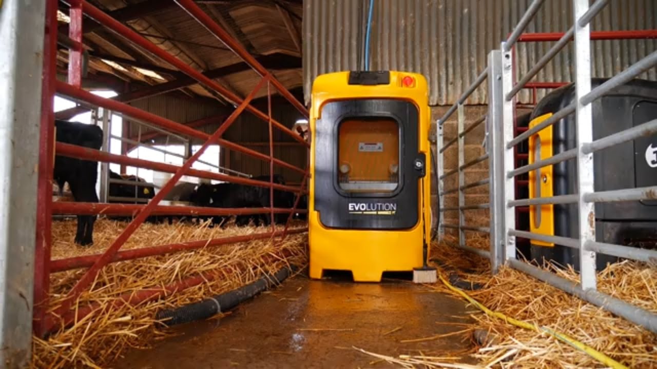 JFC Evolution Automatic Calf Feeder - YouTube