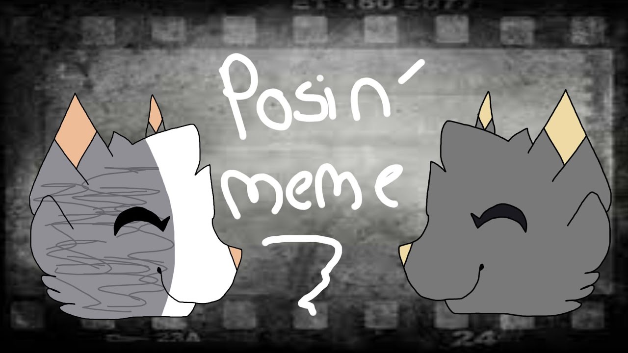 Posin' 【 Meme 】Ivypool & Dovewing - YouTube