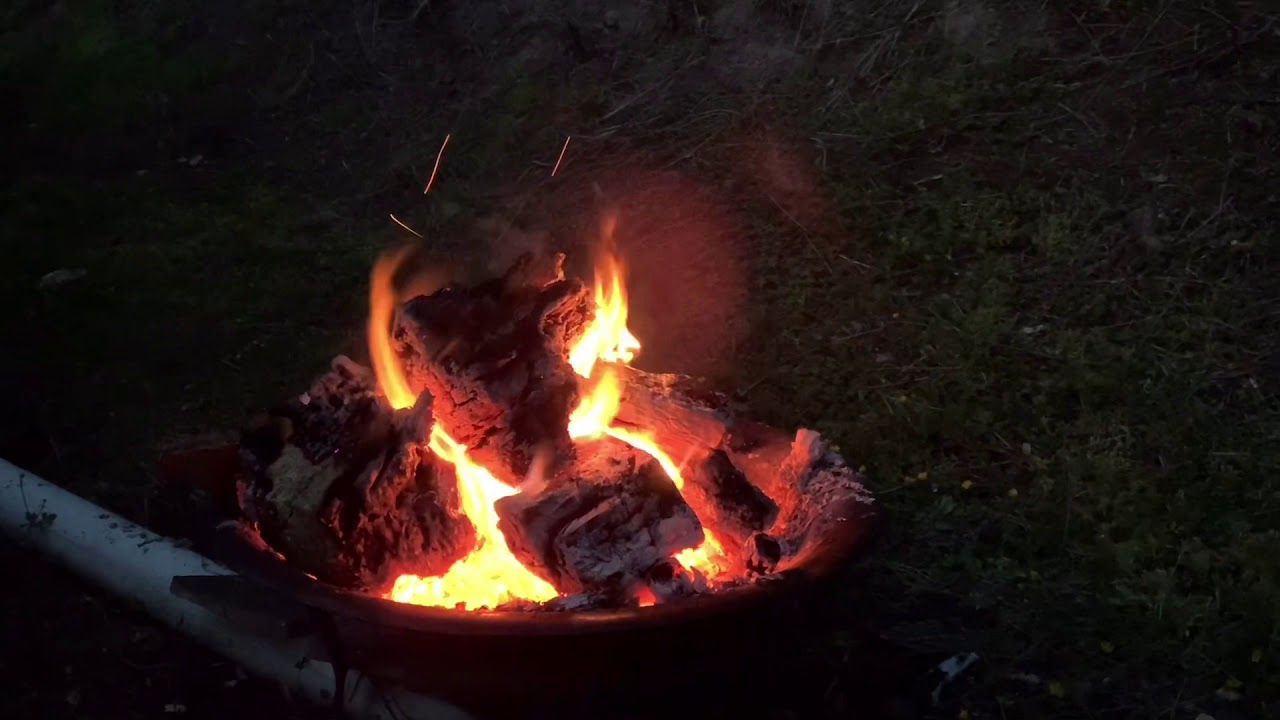 Campfire and Frog sounds | Relaxing sounds of nature amid Covid 19 ...