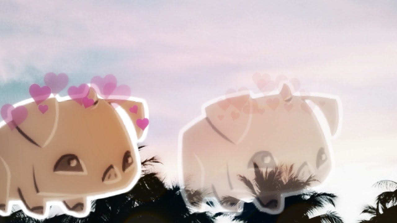 Animal Jam | PIGS COMING TO JAMAA? - YouTube
