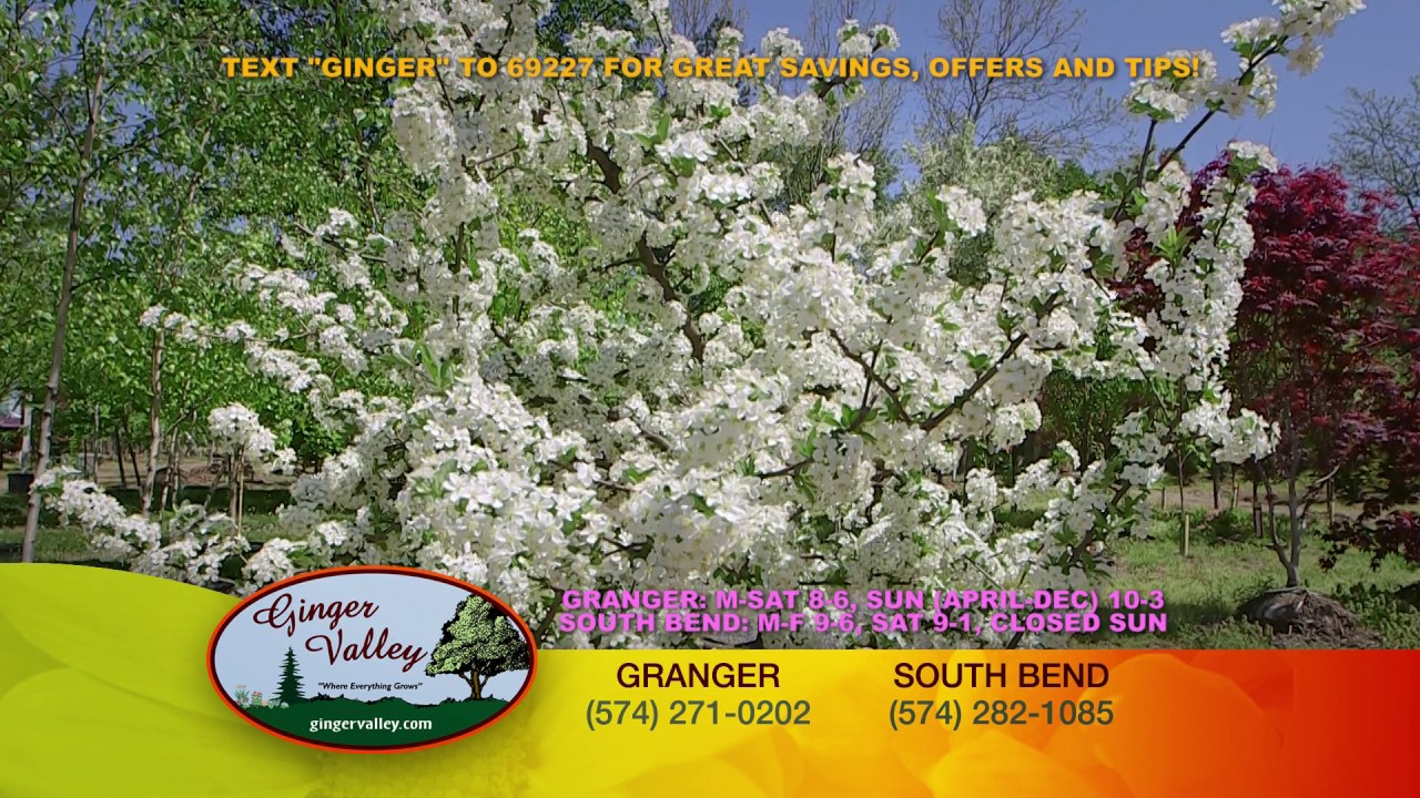 Ginger Valley GIVA1442 Fall Colors 2014 - YouTube