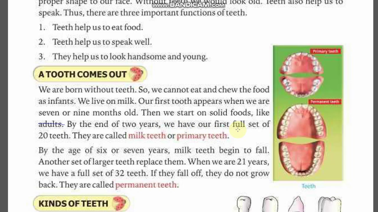 CLASS 4 SCIENCE CHAPTER 2 PART 1 YouTube class-4-science-chapter-2-part-1-youtube