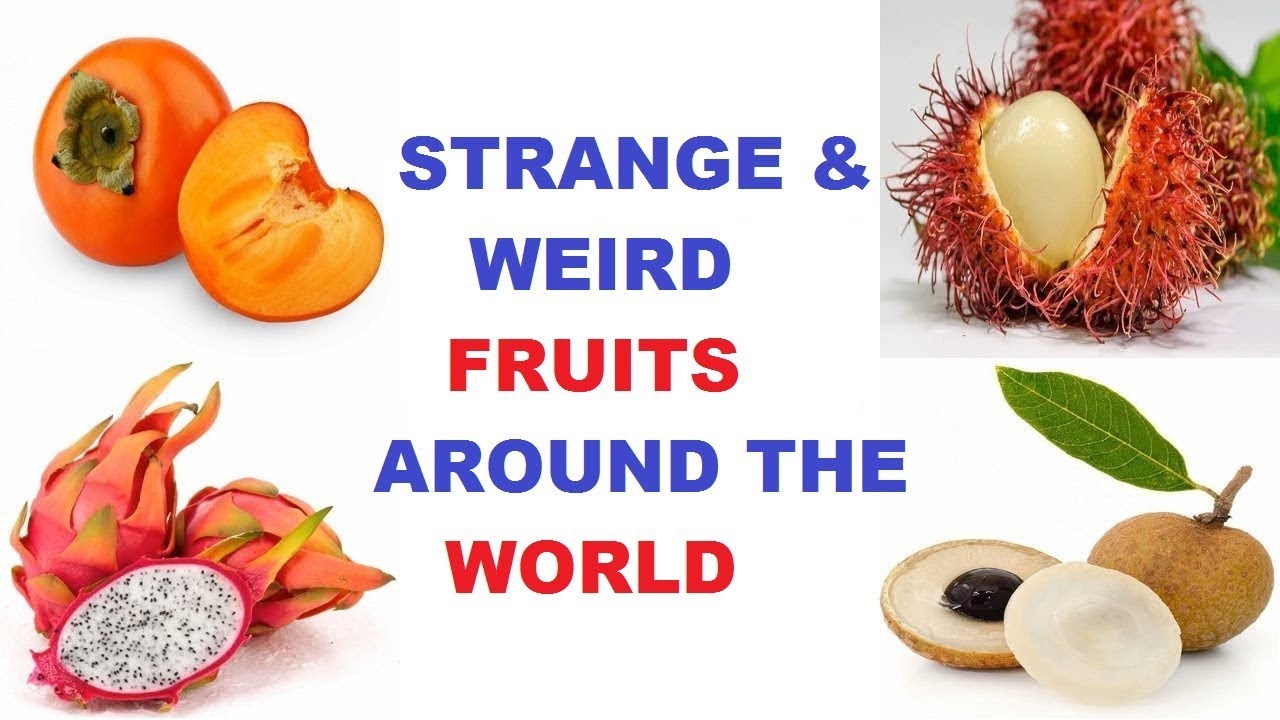 Top 15 Strange, Bizzare & Weird Fruits around the world | Exotic Fruits ...