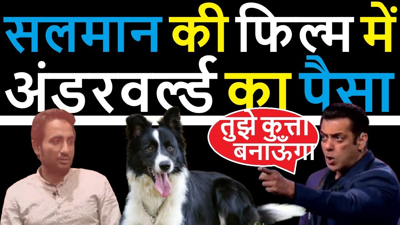 Zubair Khan: Underworld money in Salman's film. Salman Khan: Zubair ...