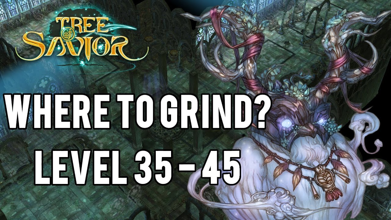 Tree of Savior Leveling Guide: Where To EXP Grind | (Level 35 - 45 ...