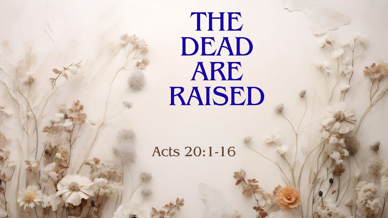 Acts (48): The Dead are Raised - YouTube